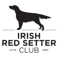Stalwarts Of The Breed – Irish Red Setter Club